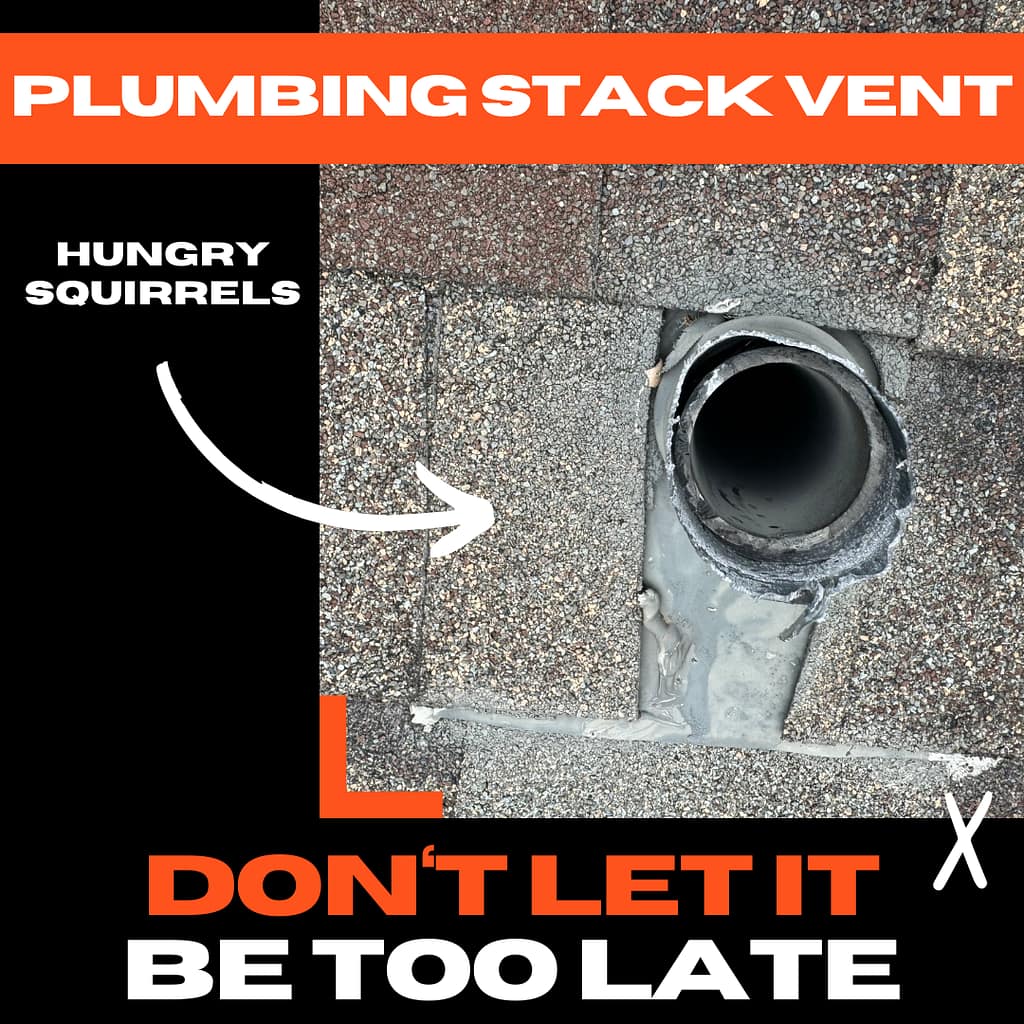 Squirrels Eat Lead Flashings: Roofing Risks Revealed