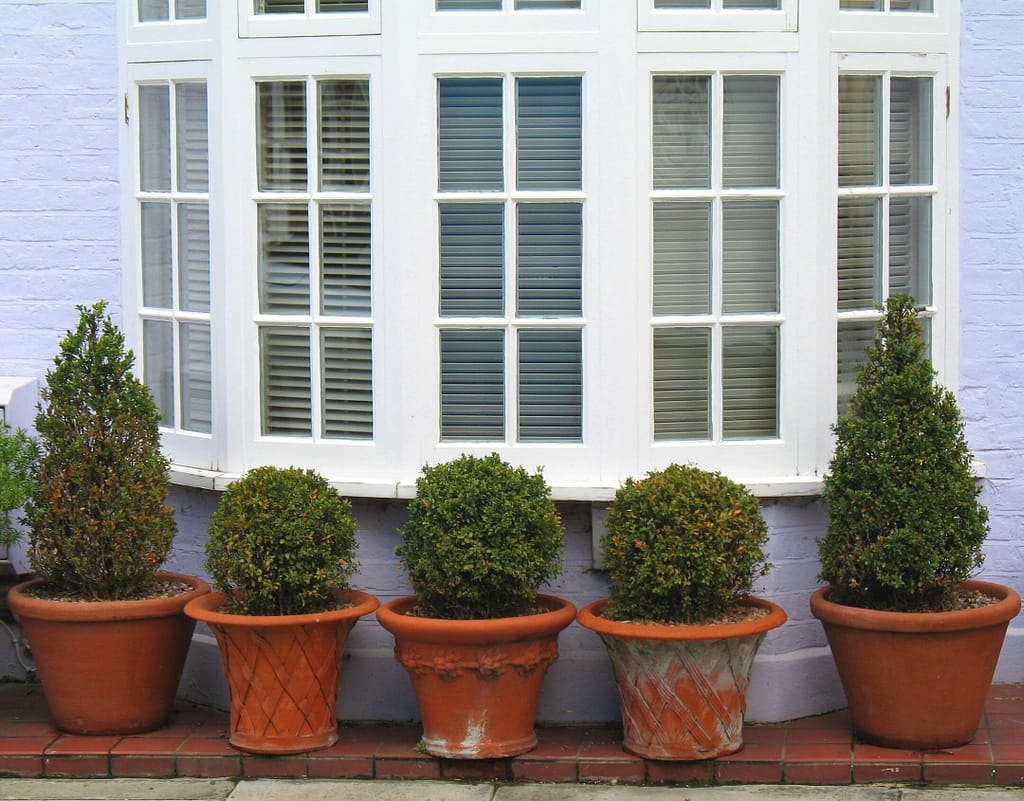 Bow Window Vs Bay Window: What's The Difference?