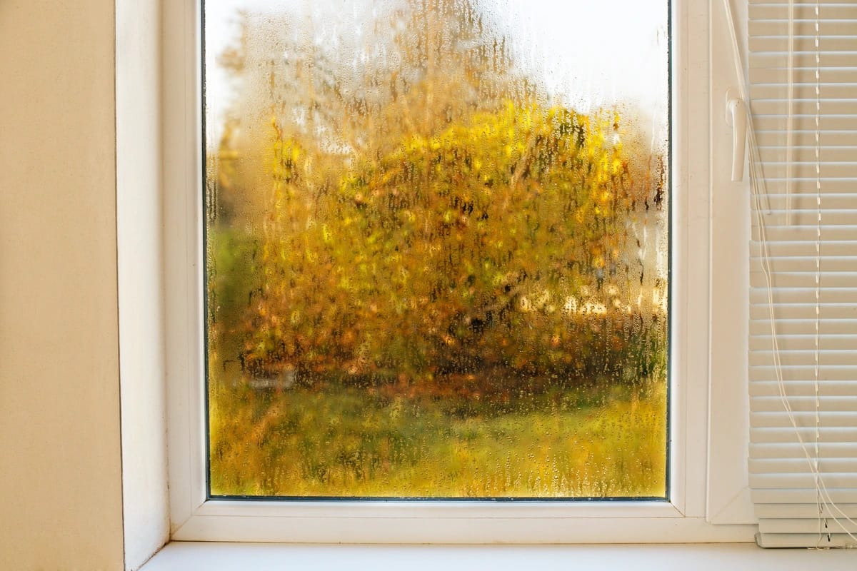 How To Fix Foggy Windows In Your Home In 6 Steps