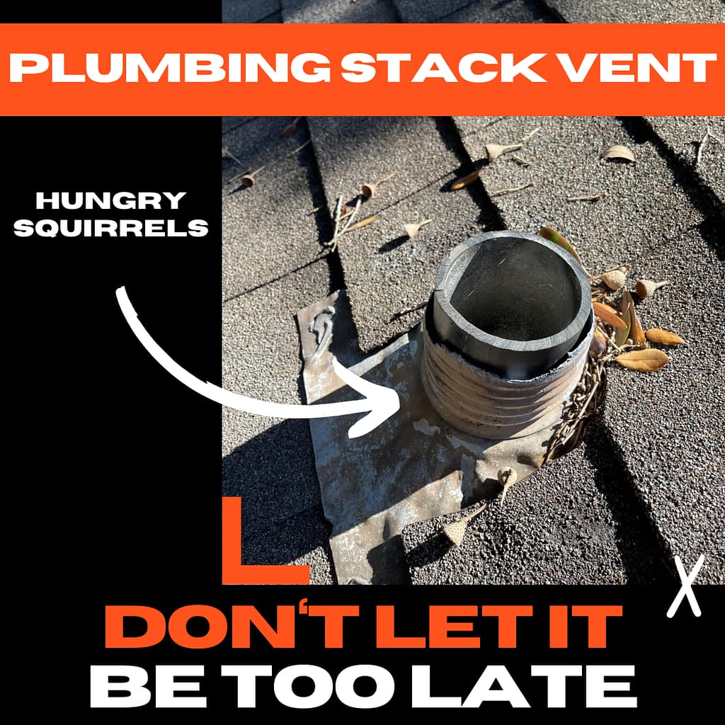 Squirrels Eat Lead Flashings: Roofing Risks Revealed