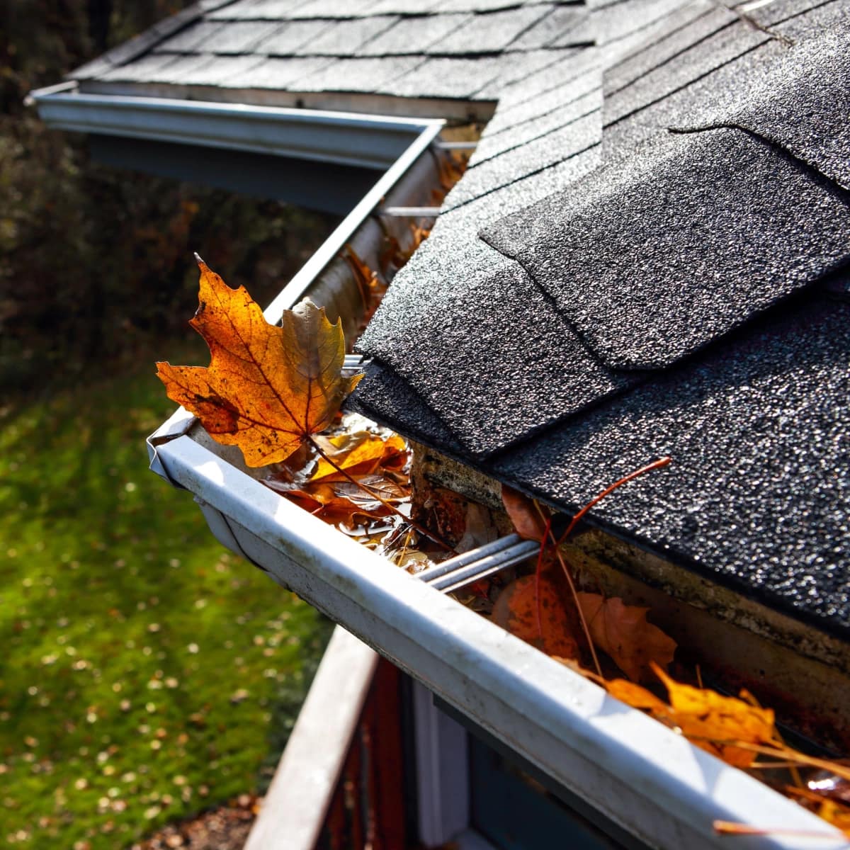Easy Tips for Cleaning Gutters with Gutter Guards Intact in Houston