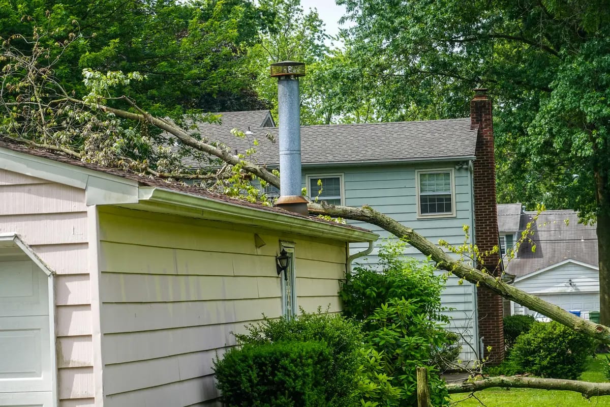 10 Most Common Types Of Roof Damage (With Pictures)