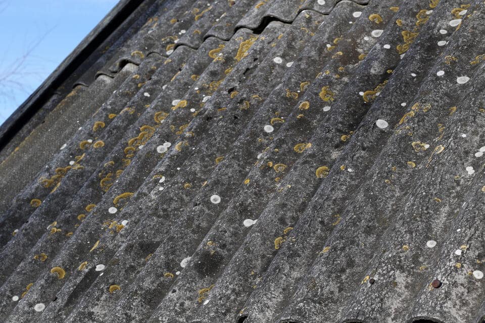 How To Get Rid Of Mold On Roof? (Expert Tips)