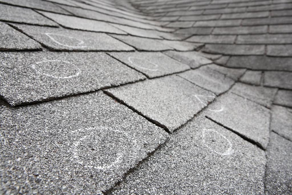 6 Types Of Roof Damage & Repair Process