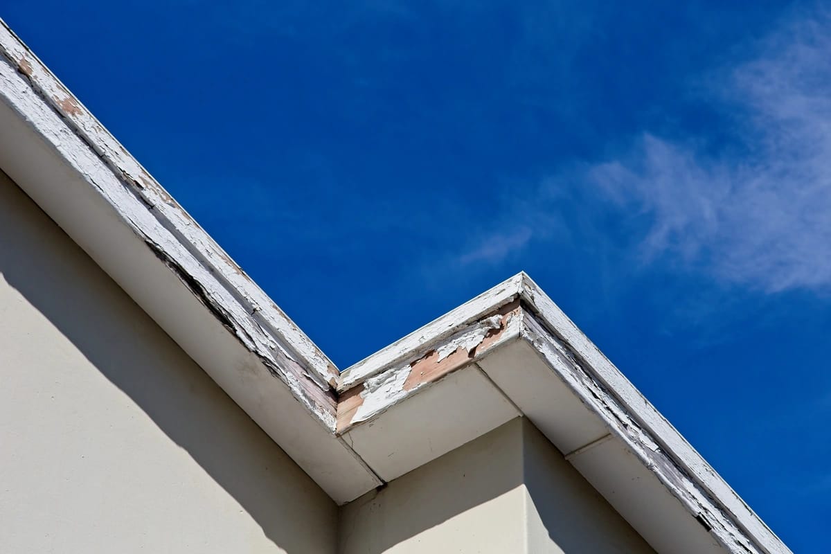 Fascia Board Repair (5 Step Guide For Homeowners)