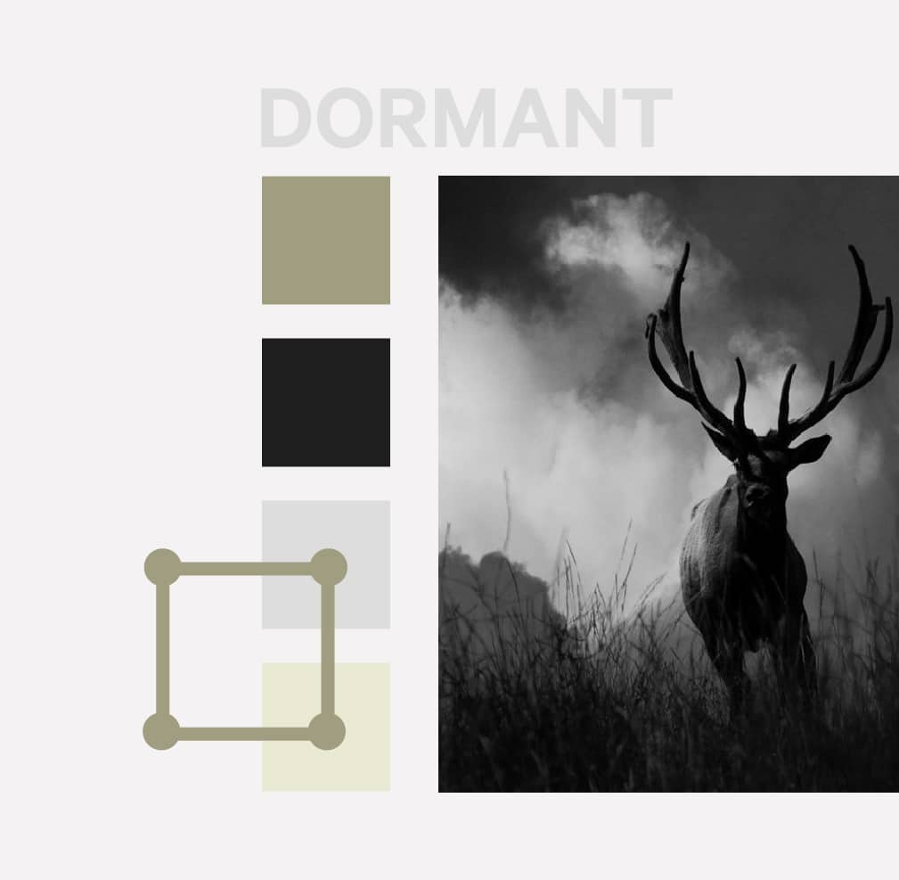 5 Masculine Color Schemes | Manly Color Palettes For Design | Hook Agency