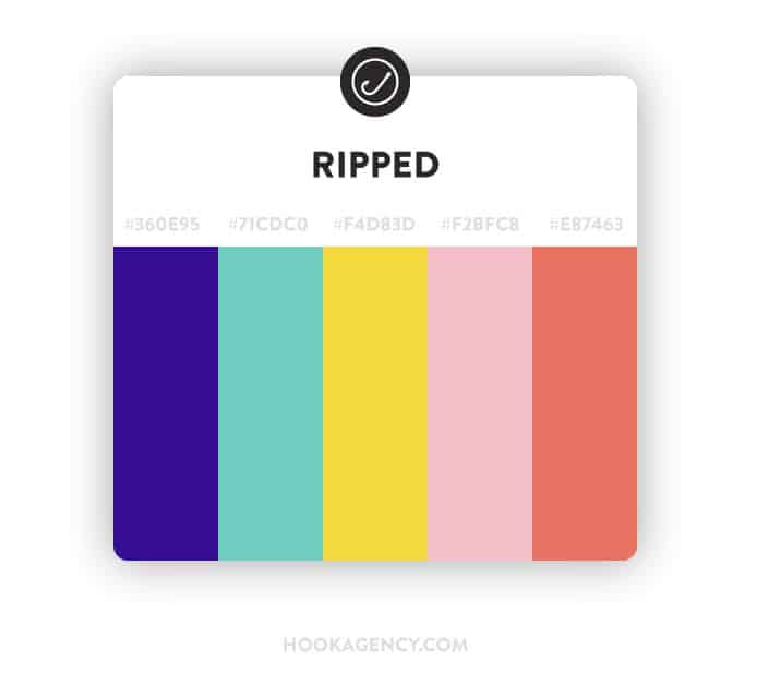 Color Schemes | Modern Color Palette Collections 2025 | Hook Agency
