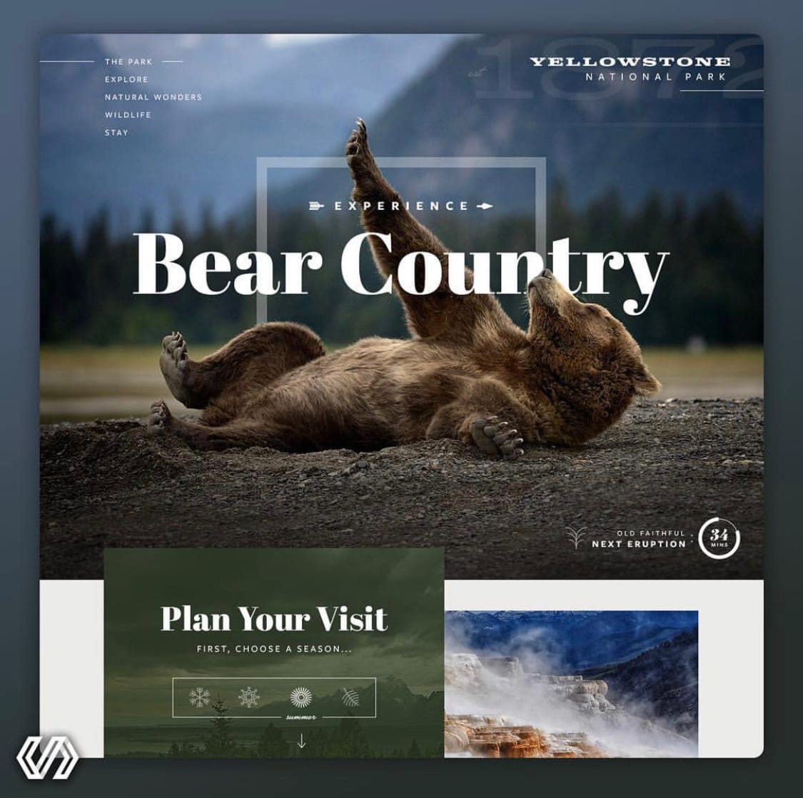 15+ Luxury Color Palettes For Website Design (Best Examples) | Hook Agency