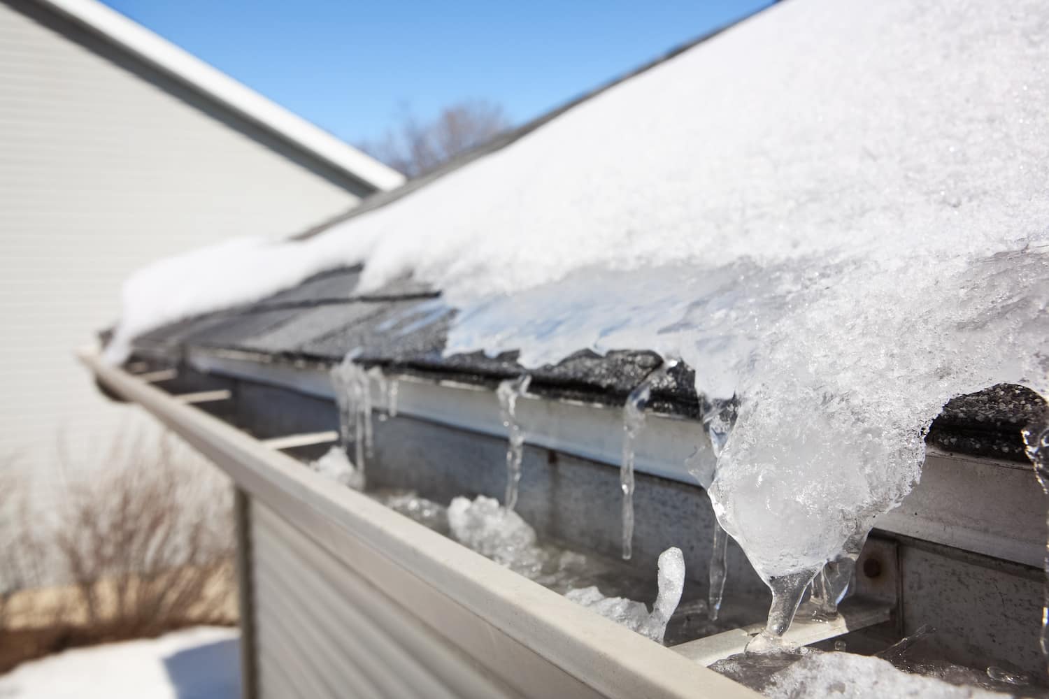 6 Types Of Roof Damage Homeowners Should Know About