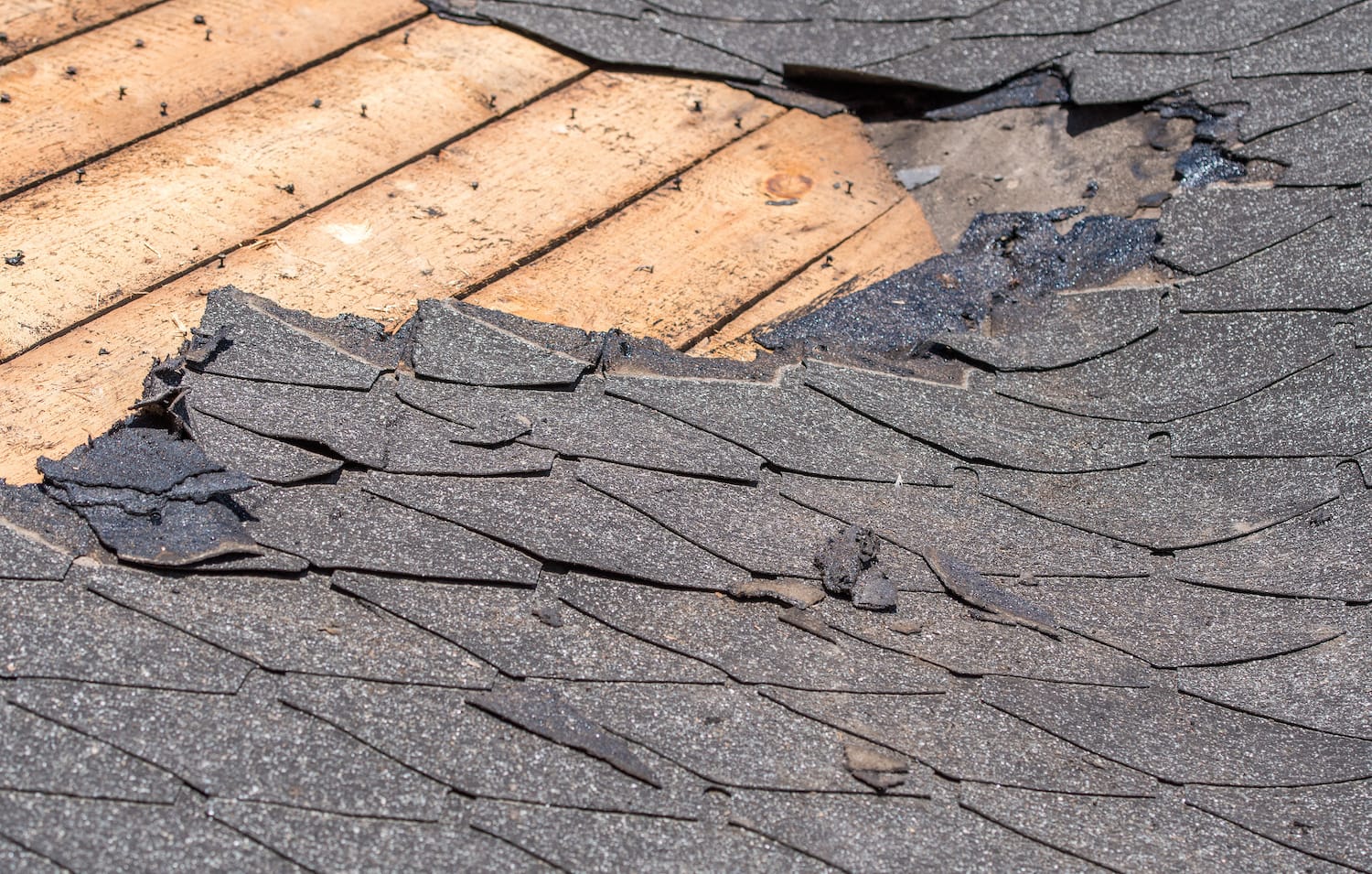 6 Types Of Roof Damage Homeowners Should Know About