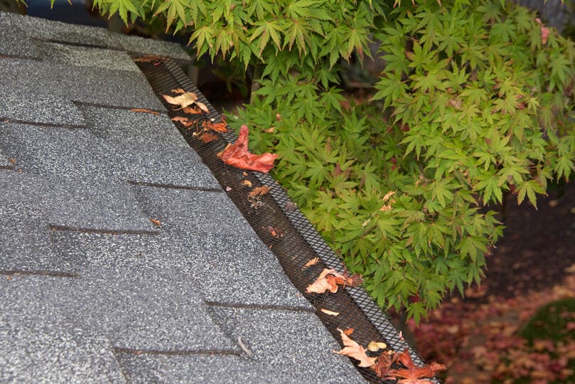 5 Best Gutter Guards Every Homeowner Should Invest In