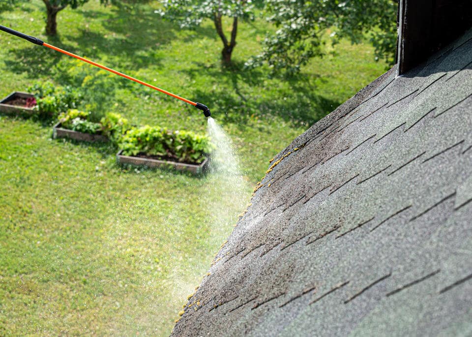 How To Get Moss Off A Roof - Roof Cleaning & Repair Guide