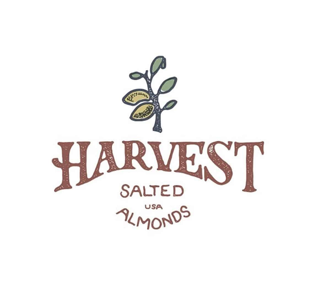 Crash Course In Hand-lettering - How To/Tools And Tips | Hook Agency