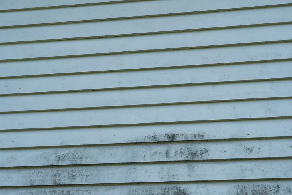 How To Restore Faded Vinyl Siding? (Expert Tips)