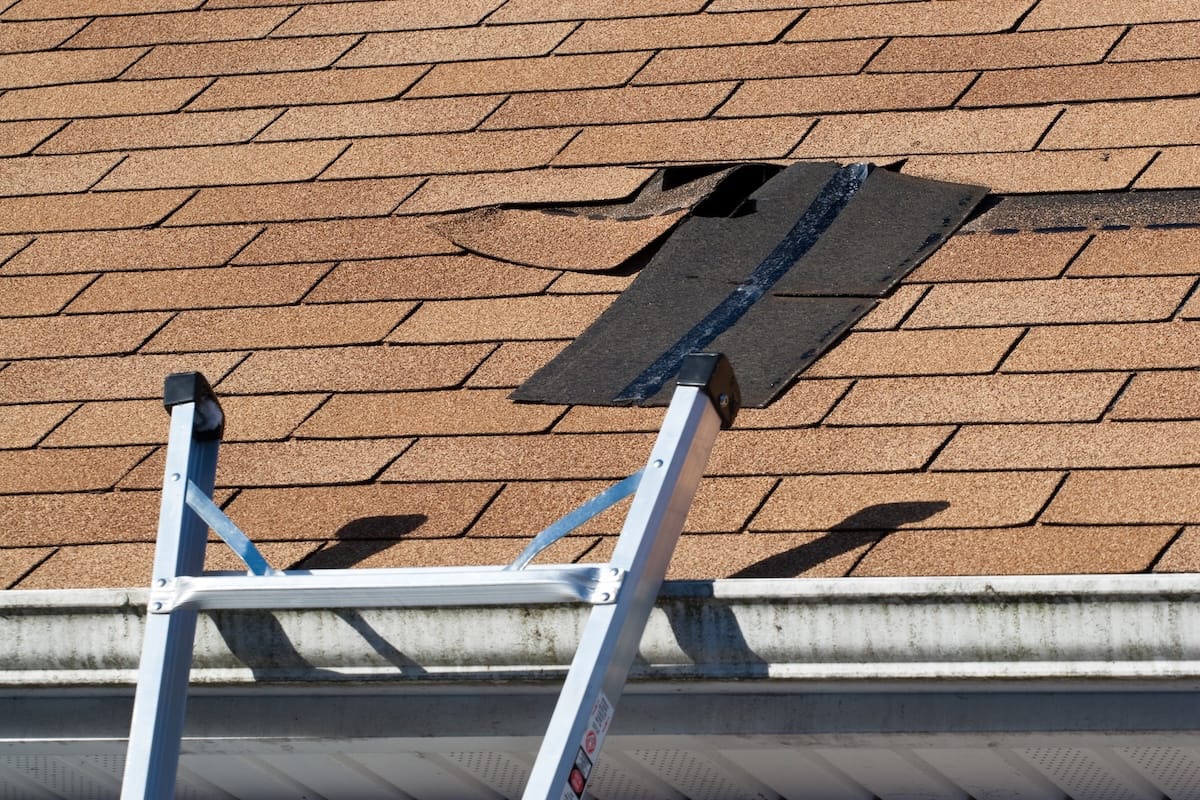 7 Step Roof Patch Guide For Homeowners (Expert Tips)