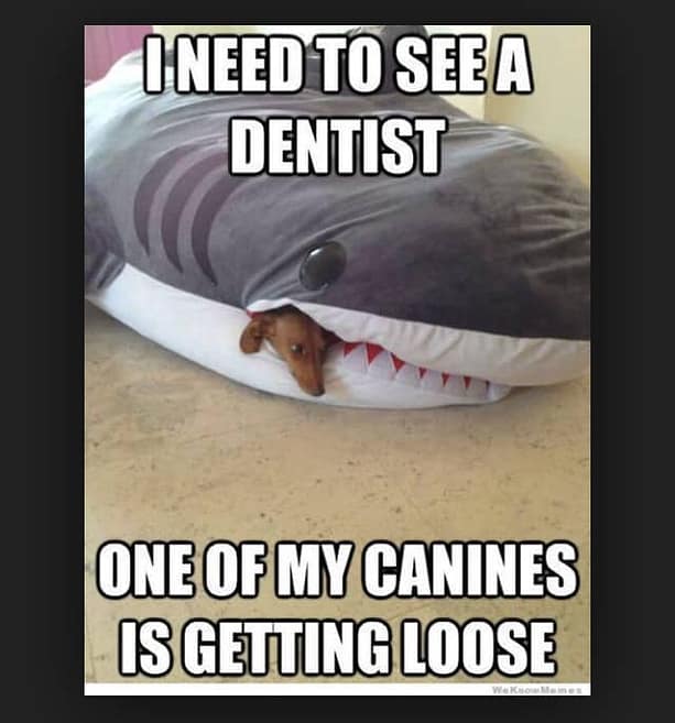 20 Dentist Memes (Top Hilarious Dentist Memes)