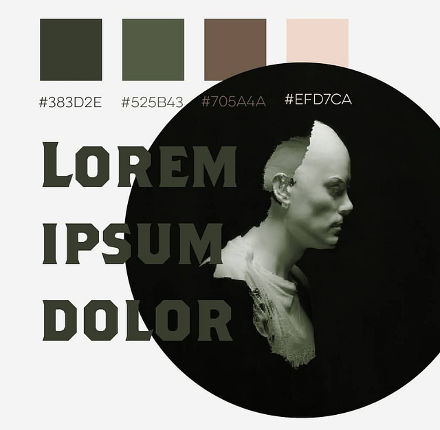5 Masculine Color Schemes | Manly Color Palettes For Design | Hook Agency