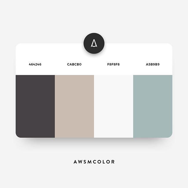 Color Schemes | Modern Color Palette Collections 2025 | Hook Agency