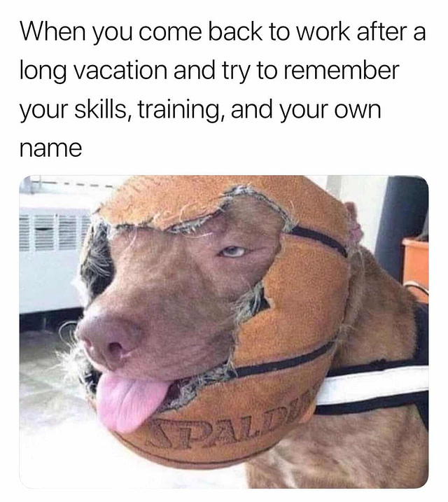 15 Hilarious SEO + Content Marketing Memes | Hook Agency