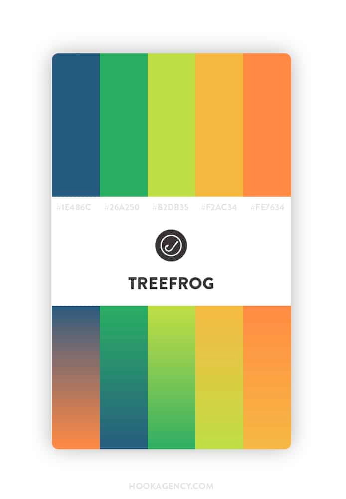 Color Schemes | Modern Color Palette Collections 2025 | Hook Agency