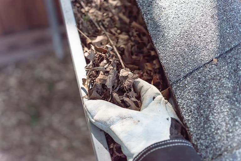 How To Clean Gutters Safely And Effectively