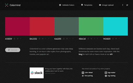 Color Schemes | Modern Color Palette Collections 2025 | Hook Agency