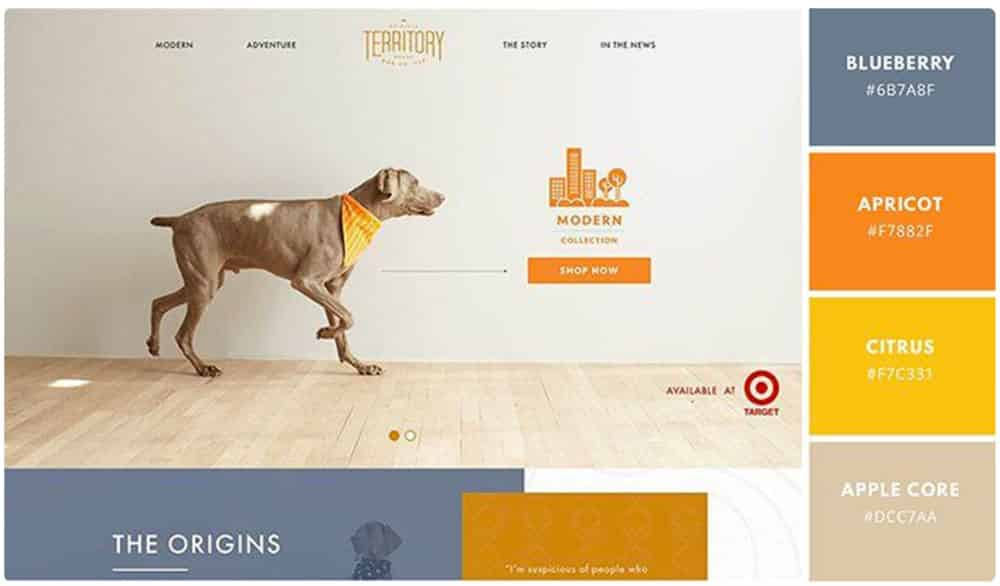 50 Beautiful Website Color Schemes & CSS Hex Codes (2025)