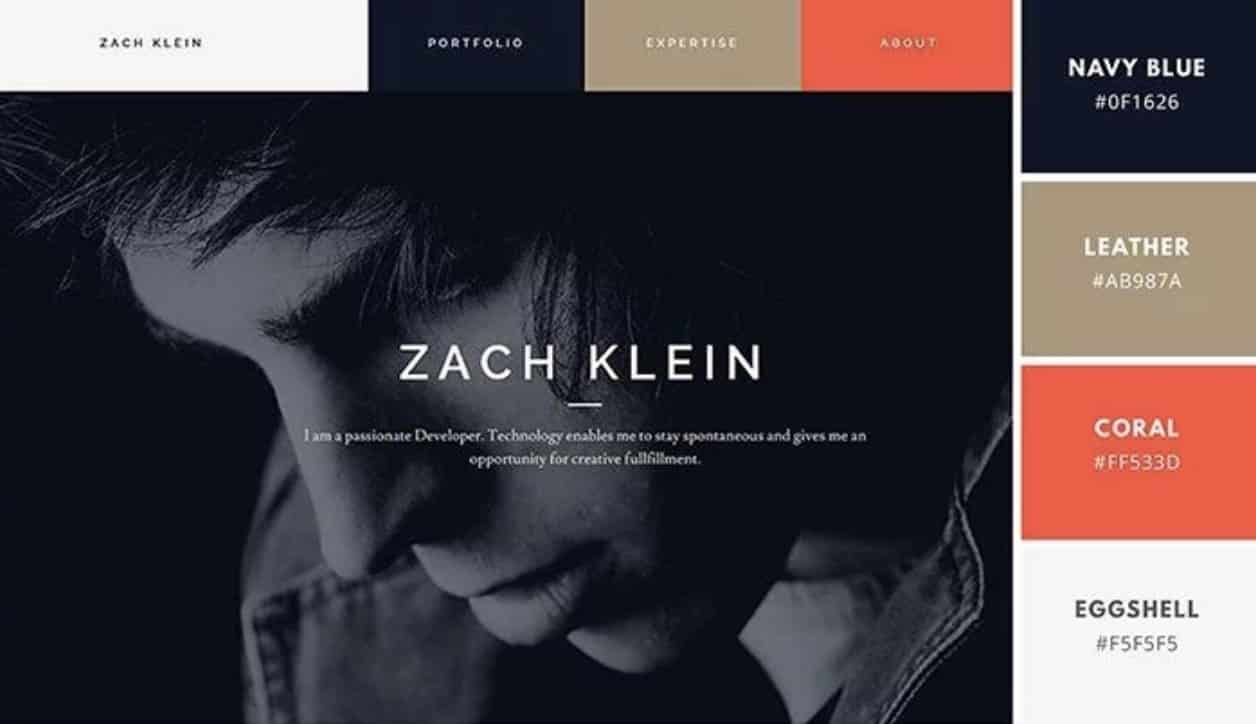 15+ Luxury Color Palettes For Website Design (Best Examples) | Hook Agency