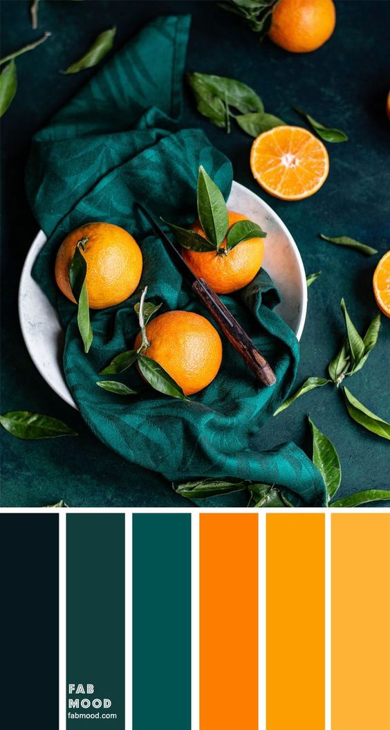 101+ Amazing Website Color Schemes For 2025 (Moodboard)