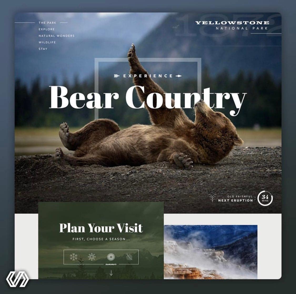 15+ Luxury Color Palettes For Website Design (Best Examples) | Hook Agency