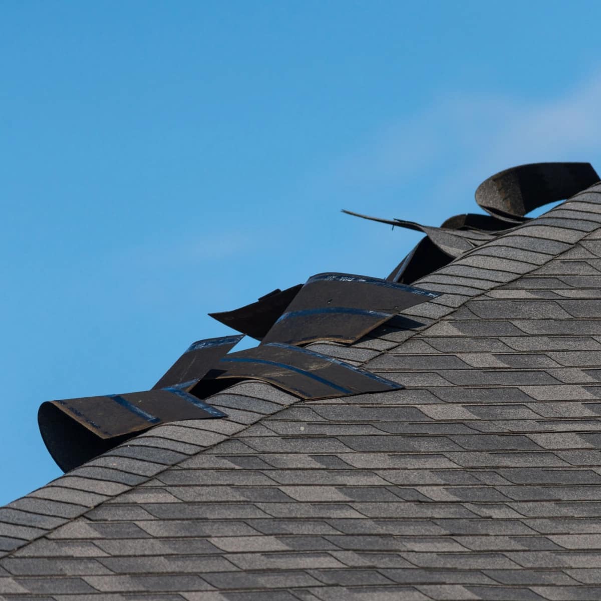 Signs of Tomball Roof Wind Damage - Amstill Roofing Company